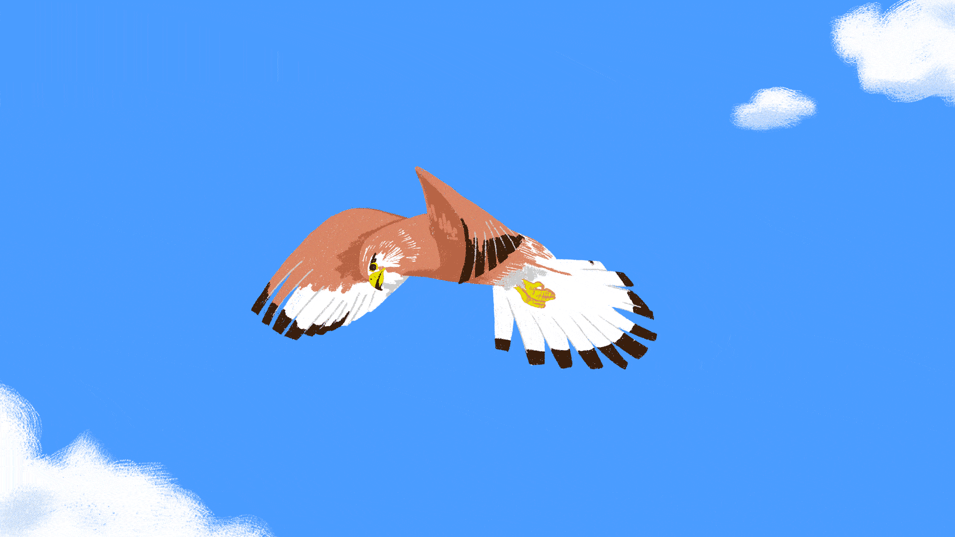 Andrea Rubele | Illustrator & Graphic Designer