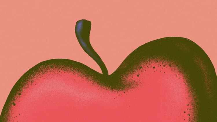 Andrea Rubele | Illustrator & Graphic Designer